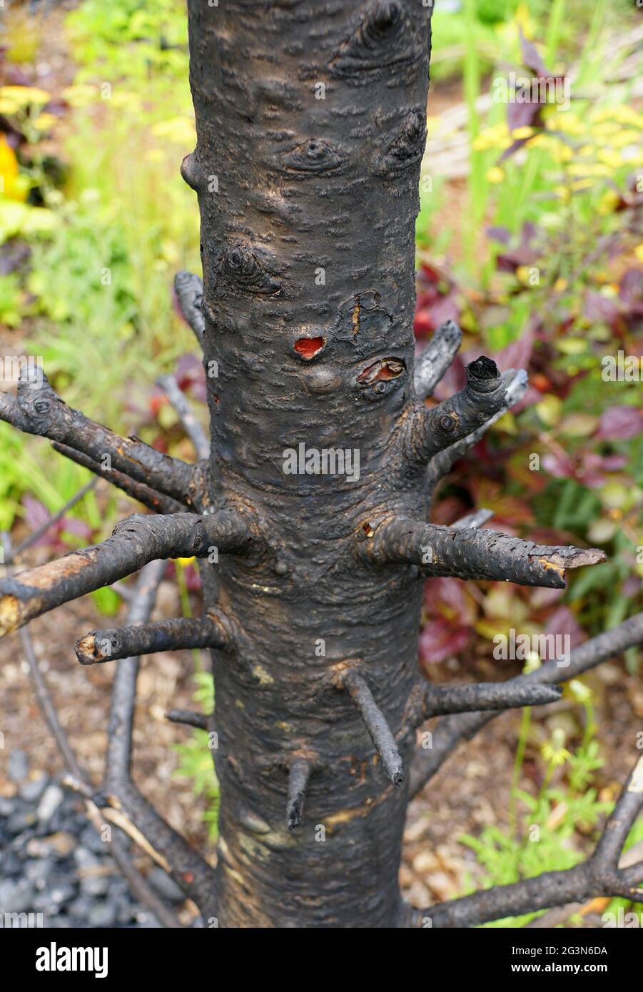 Danger after dark hi-res stock photography and images - Alamy