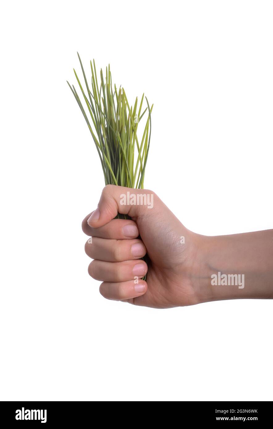 Grass in hand hi-res stock photography and images - Alamy