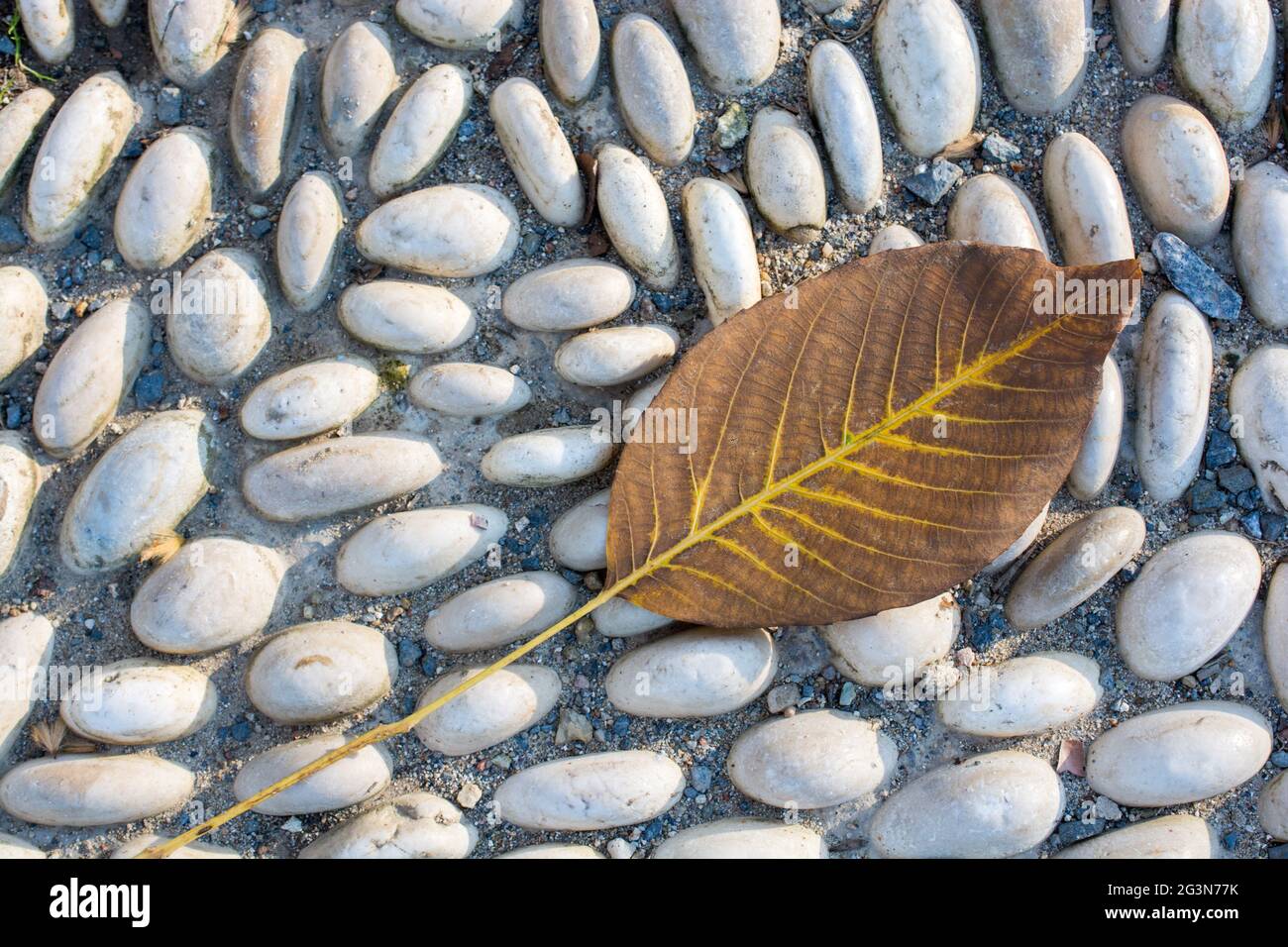 Abstract detail view one hi-res stock photography and images - Alamy