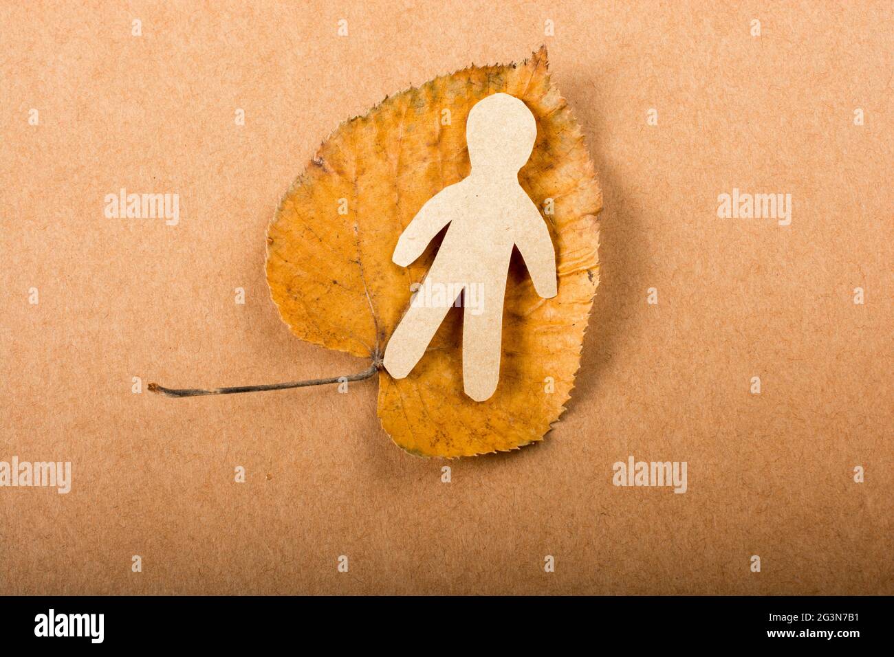Human figure leaf hi-res stock photography and images - Alamy
