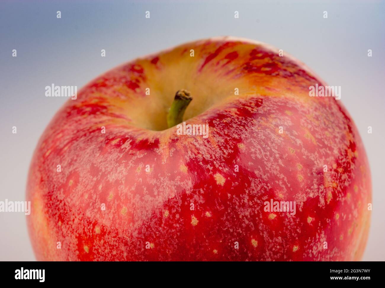 Fresh red apple with dots in close up view Stock Photo - Alamy
