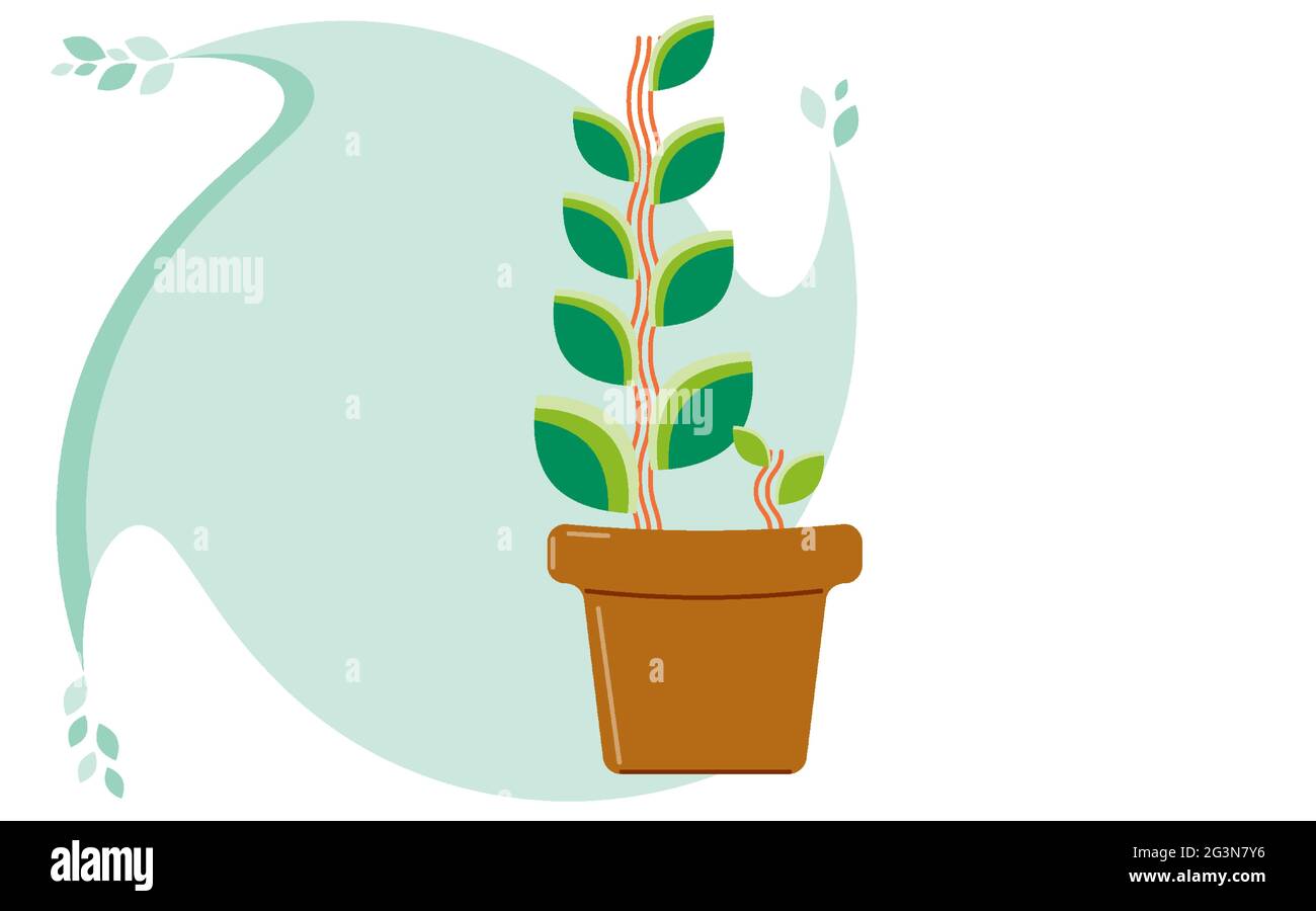 Plants in soil growing Stock Vector Images - Alamy