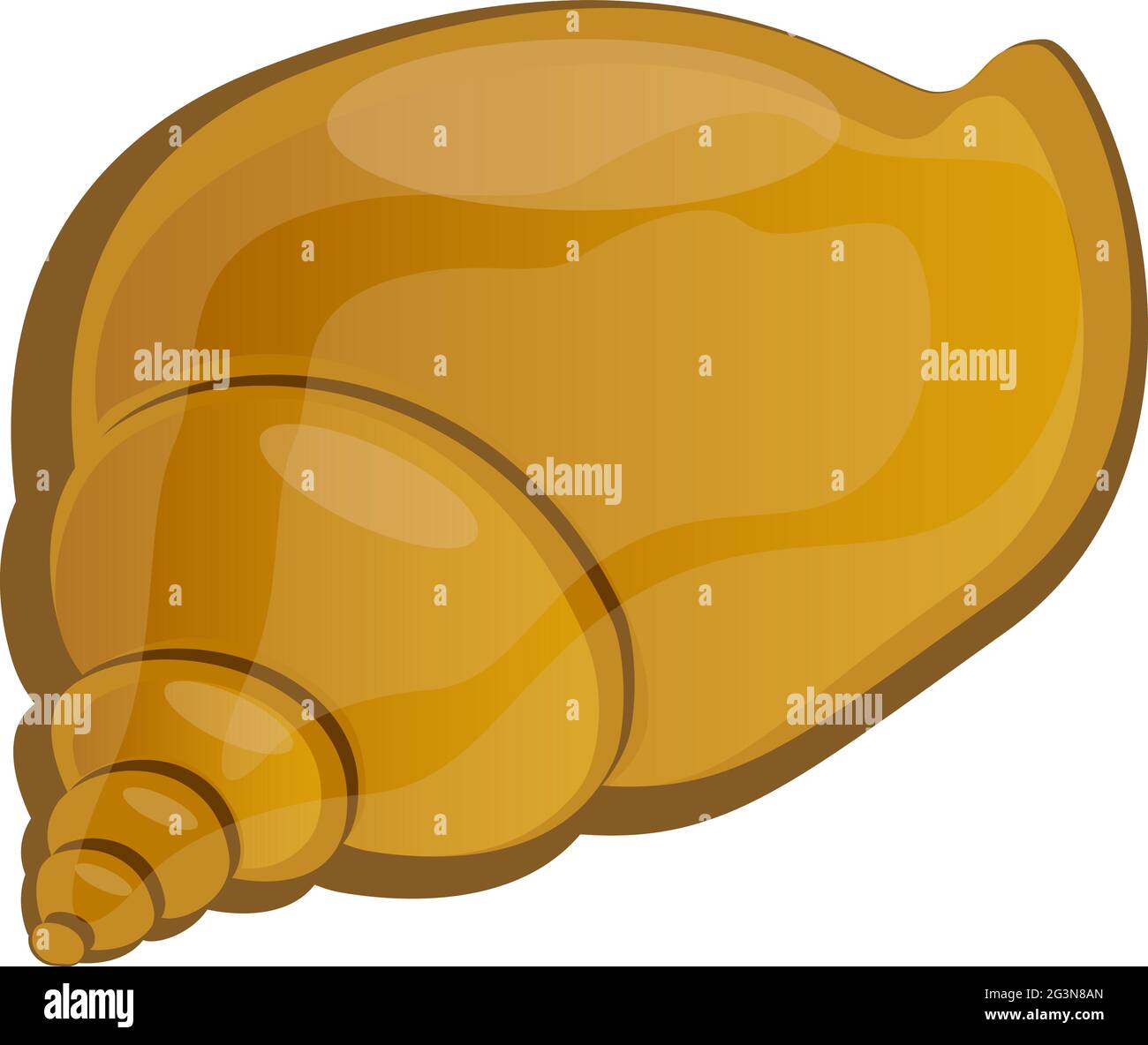 Shell. Isolated on white. Underwater world. Vector illustration Stock ...