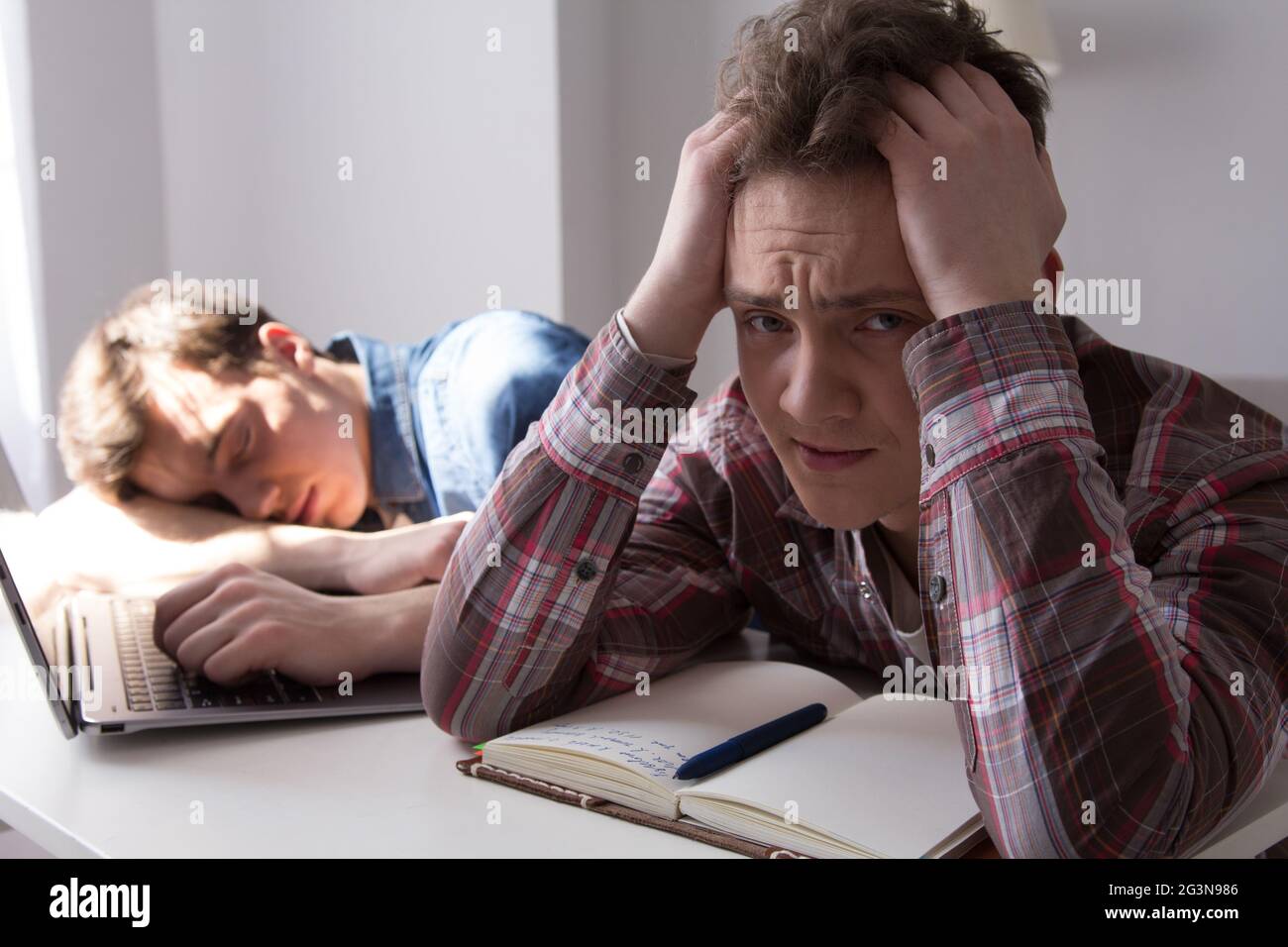 Two boys studying together at home Stock Photo - Alamy