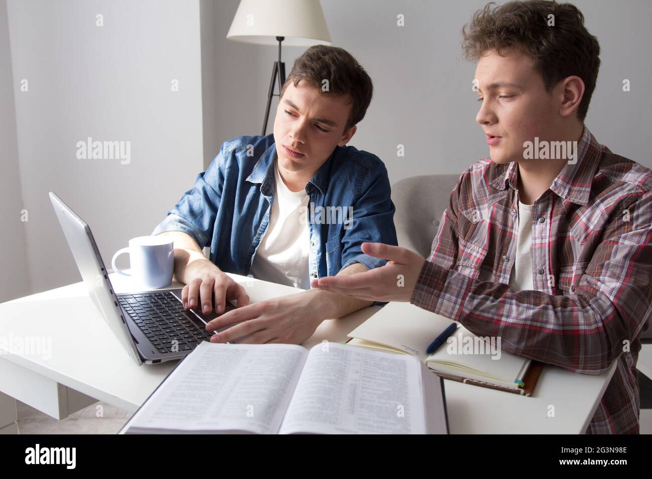 Two boys studying together at home Stock Photo - Alamy