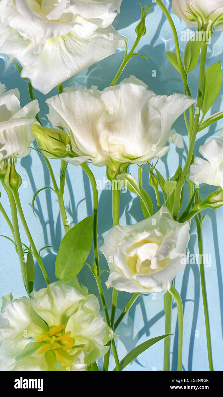 White flowers of the Texas bell. Lines and shadows of stems in blue ...