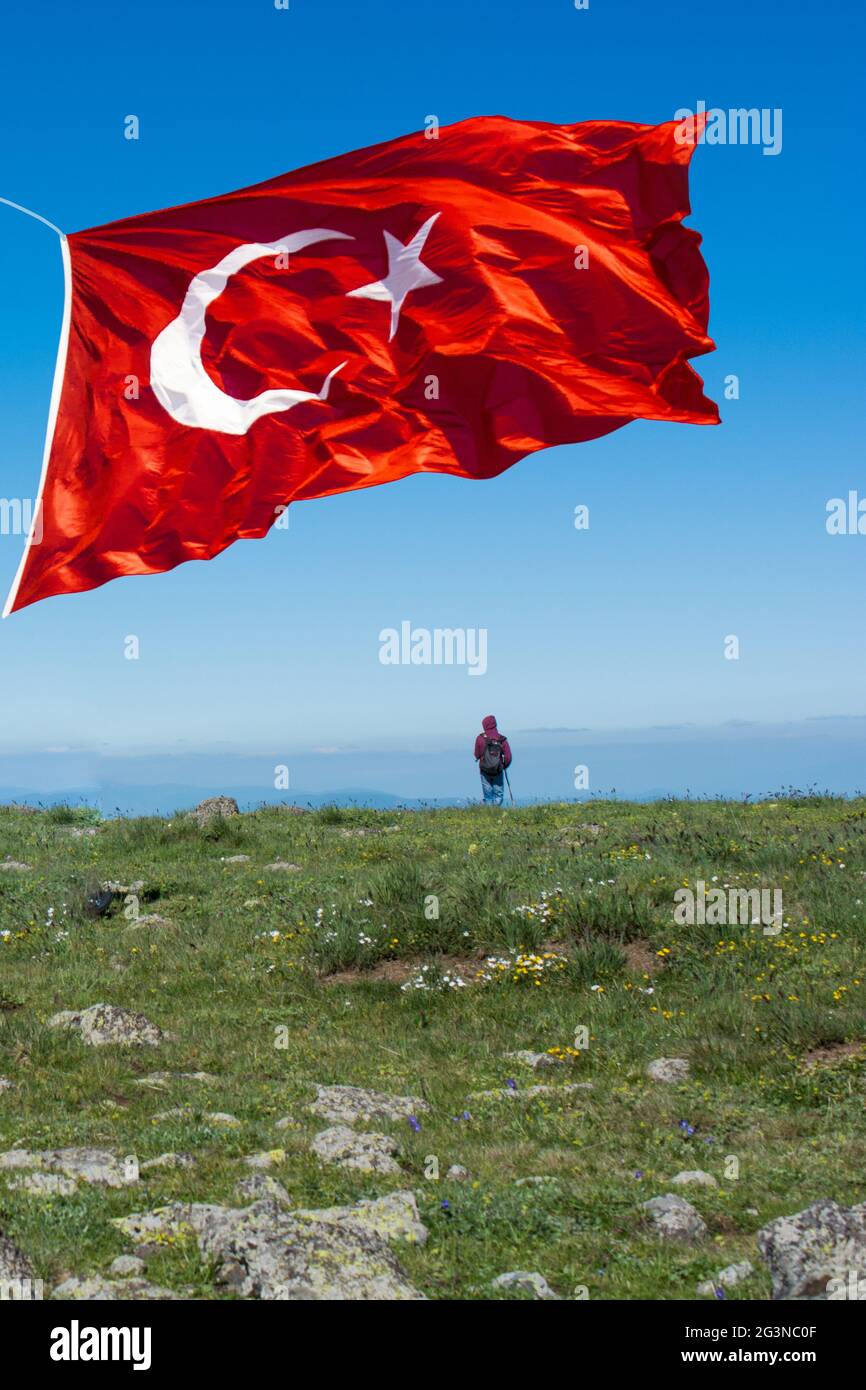 Flag man icon hi-res stock photography and images - Alamy