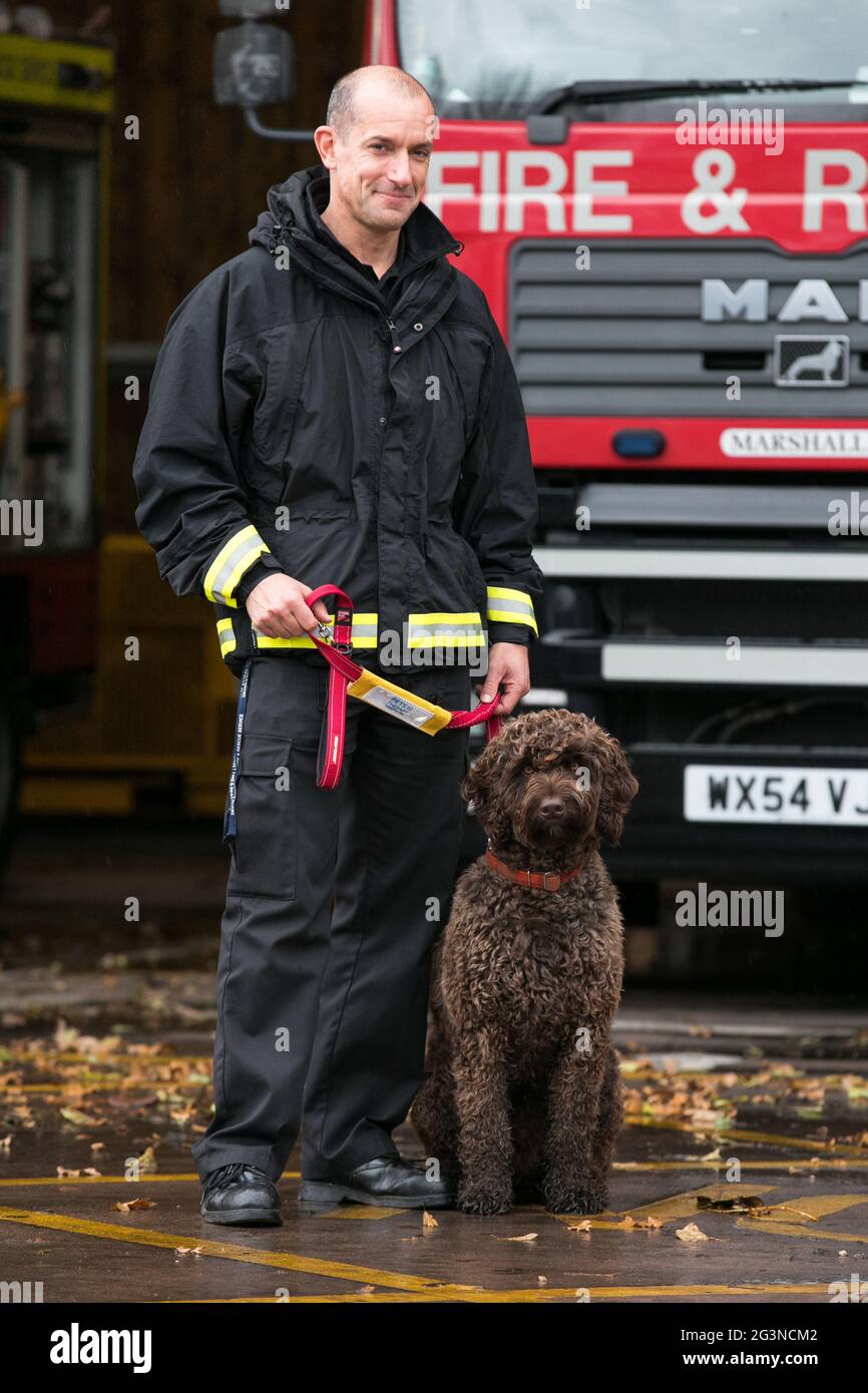 Diffusing dog hi-res stock photography and images - Alamy