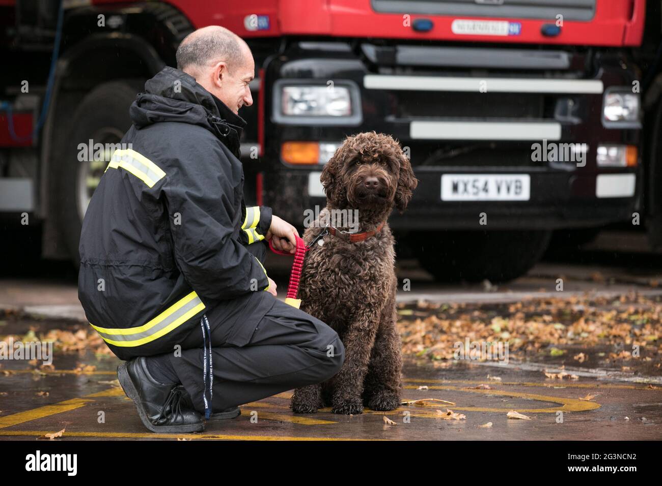 Digby Fire rescue dog Stock Photo - Alamy