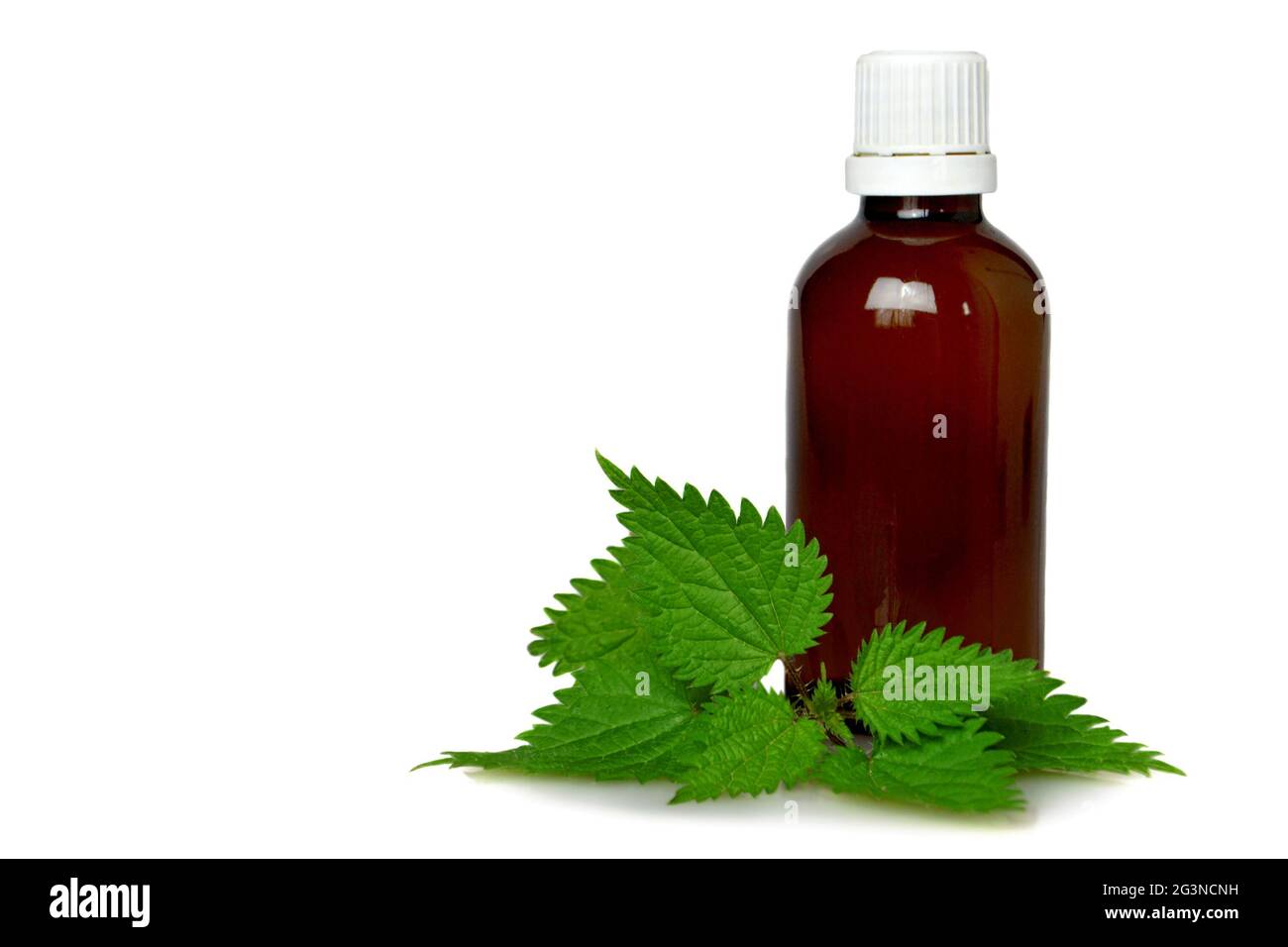 Stinging nettle essential oil or tincture in a bottle isolated on white ...