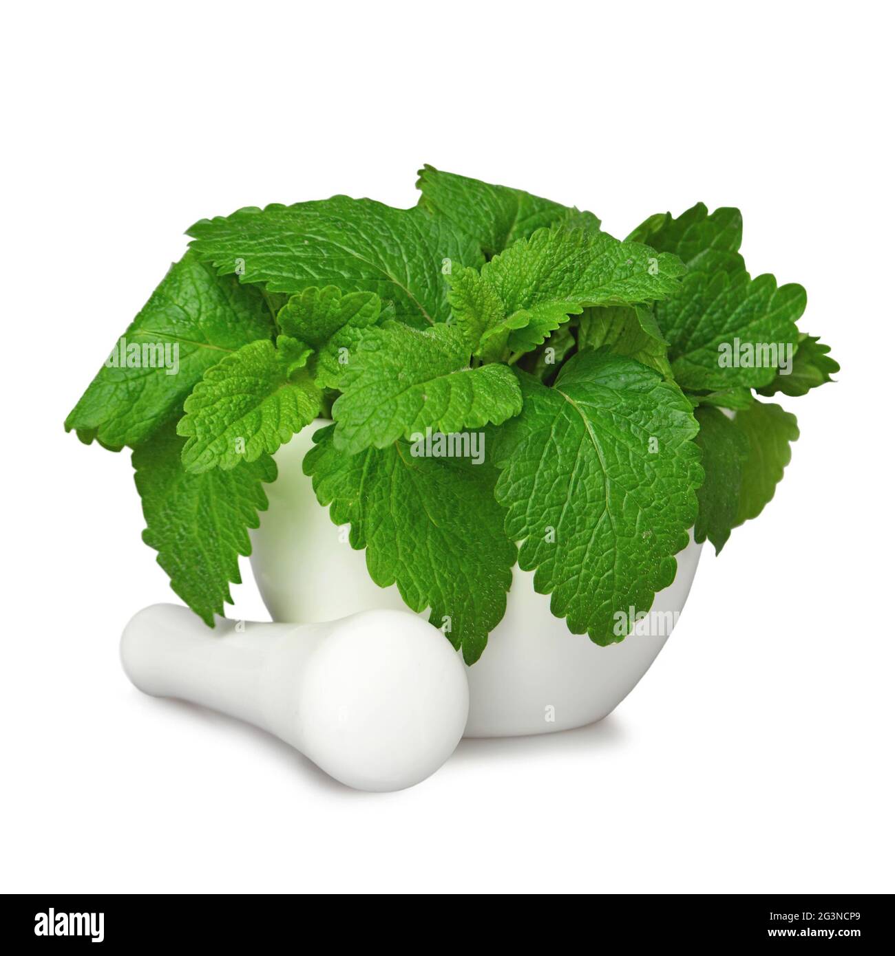 Lemon balm leaves in a mortar isolated on white background Stock Photo ...