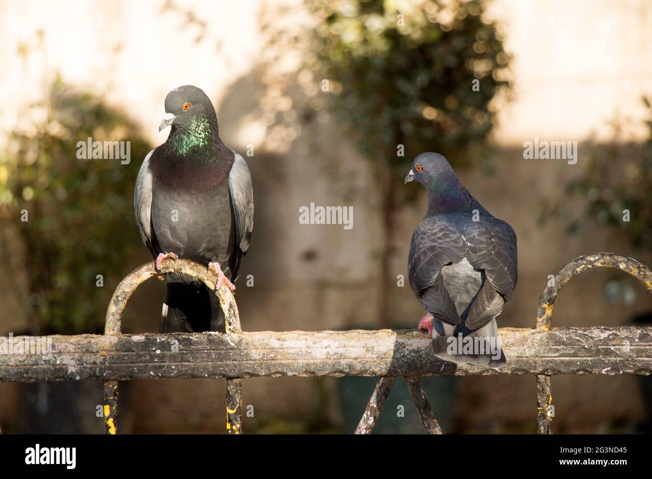 Lonely environment hi-res stock photography and images - Alamy
