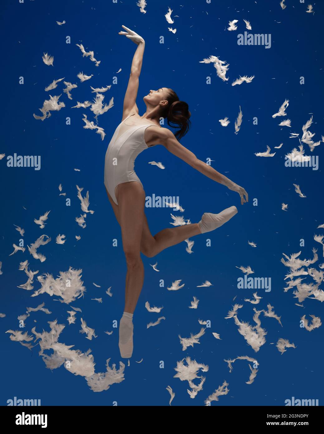 Soar like a bird. One young female ballet dancer flying isolated over ...