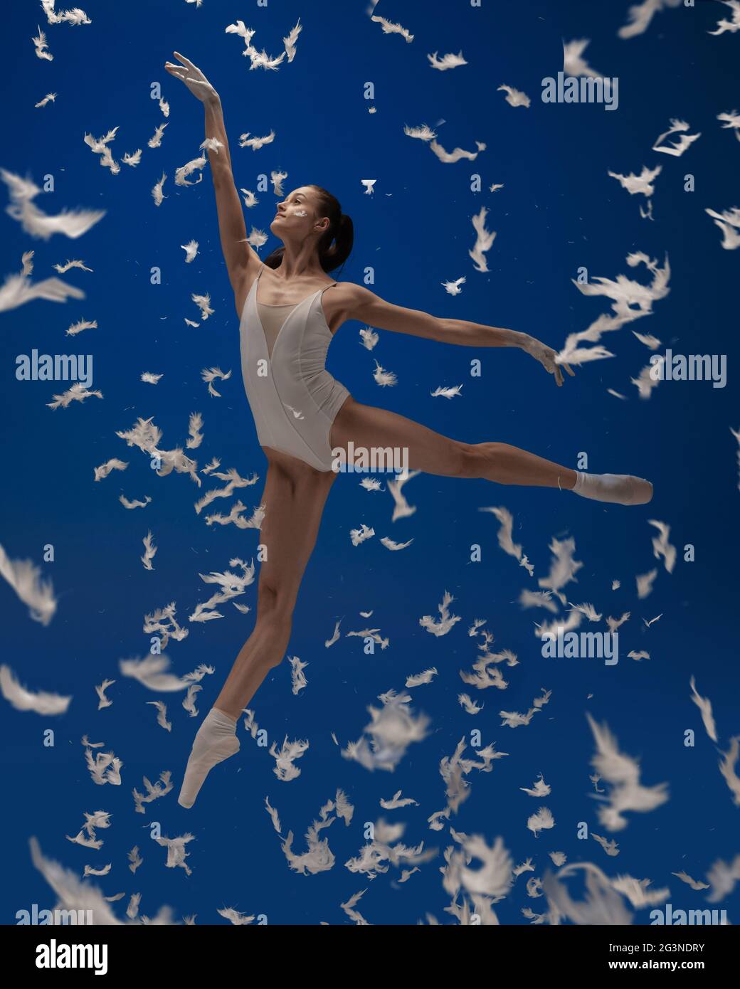 Soar like a bird. One young female ballet dancer flying isolated over ...