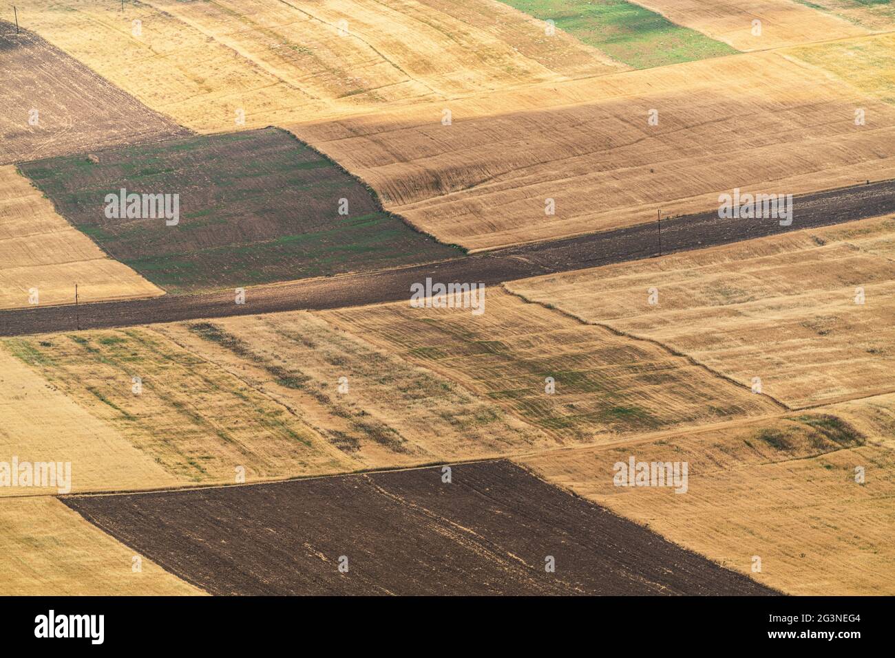 Yellow farm hi-res stock photography and images - Alamy