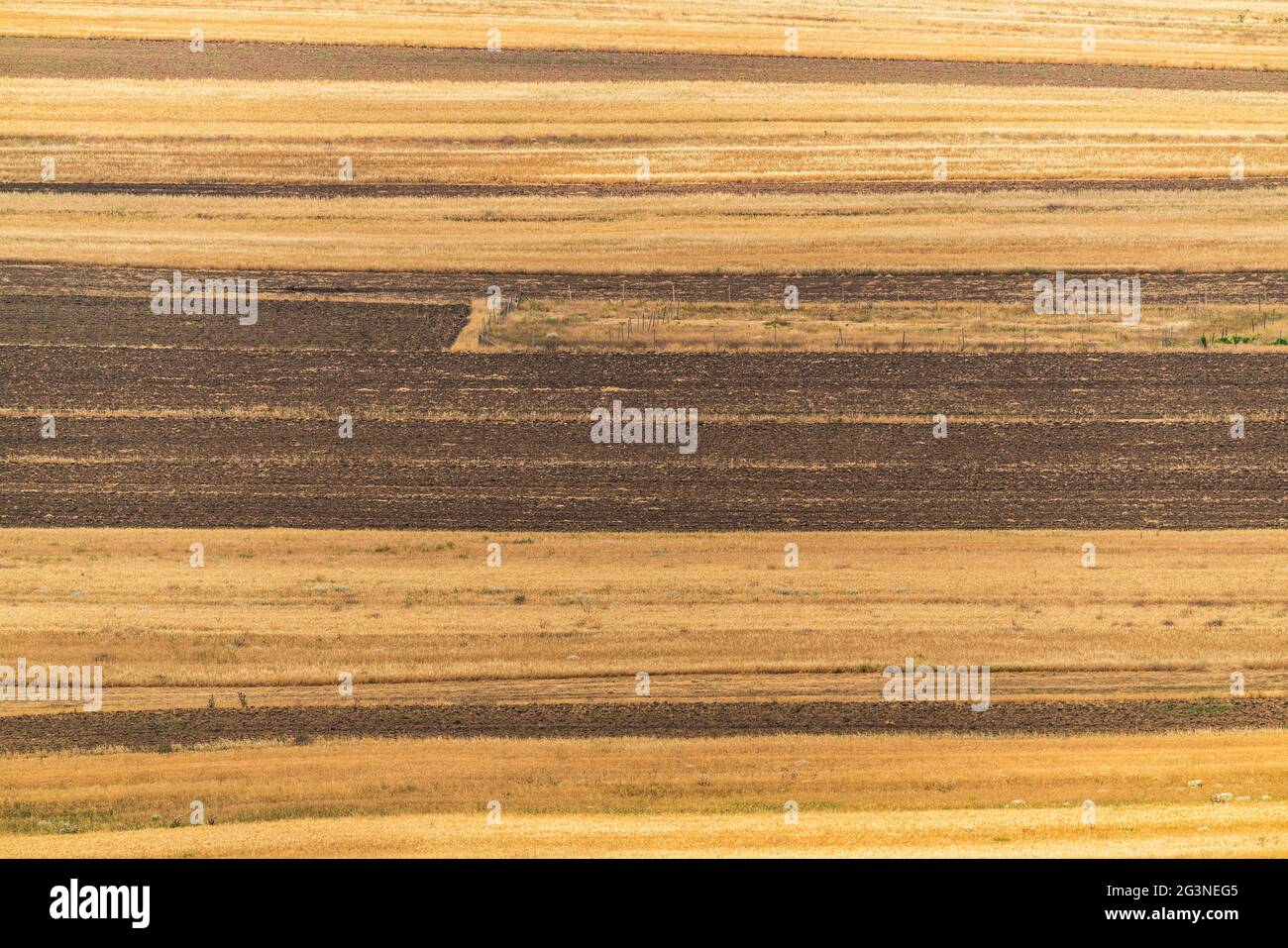 Yellow farm hi-res stock photography and images - Alamy