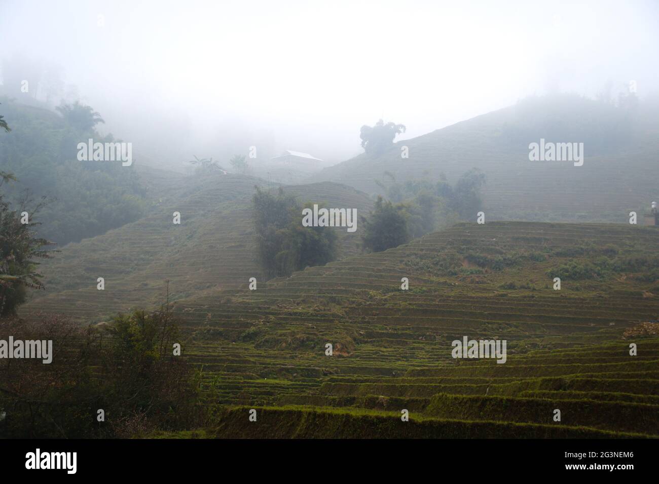 Crepy hi-res stock photography and images - Alamy