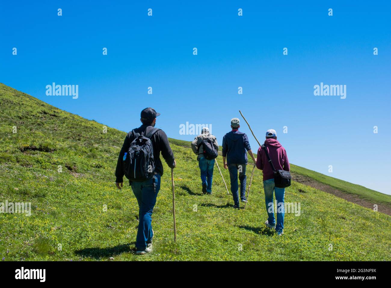 Group people taking walk hi-res stock photography and images - Alamy