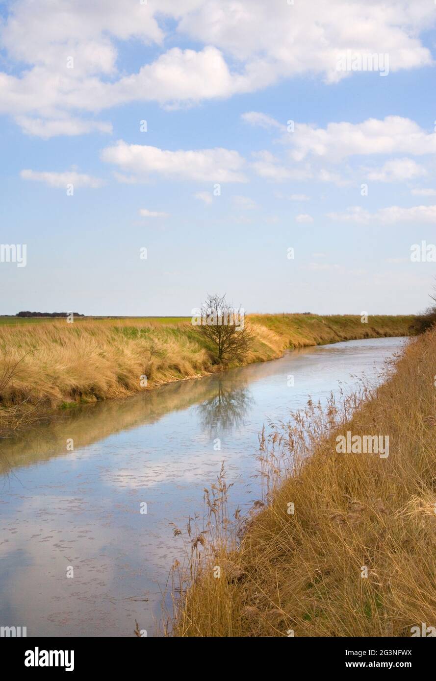 Drainage ditch stream on hi-res stock photography and images - Alamy