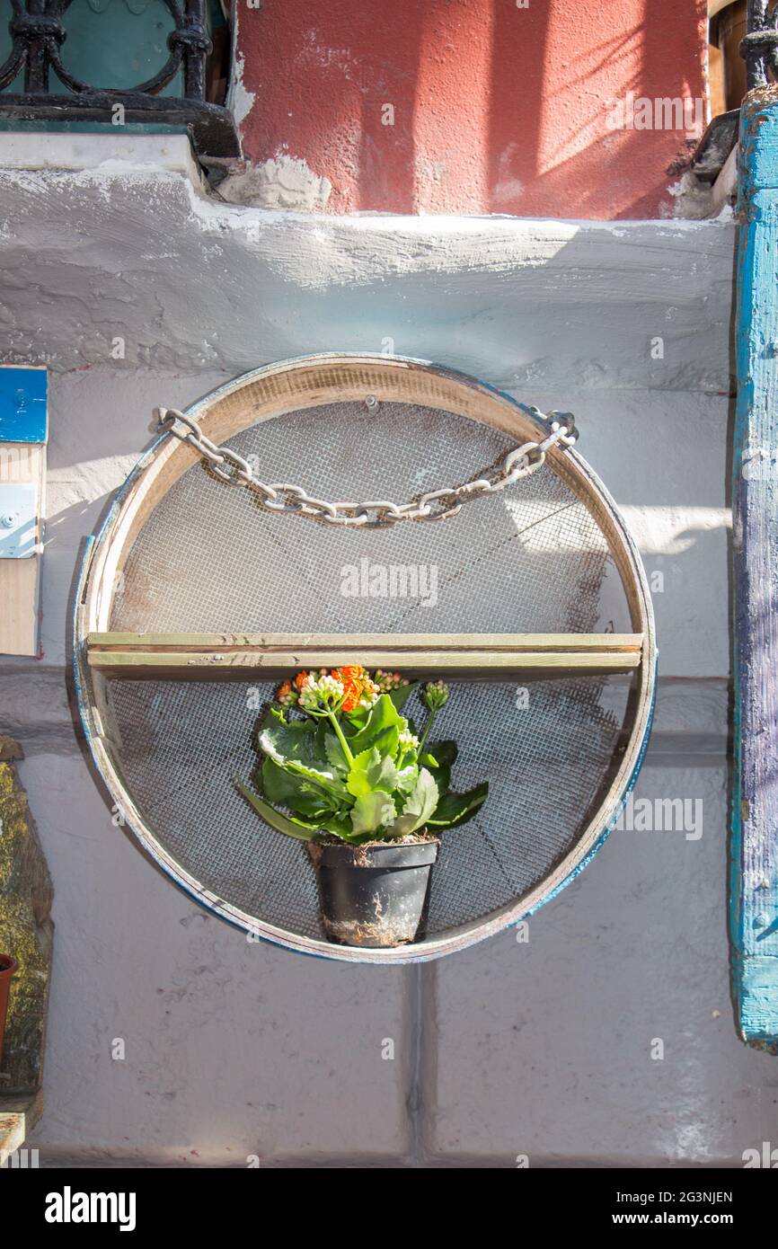 Spring flowers pot hi-res stock photography and images - Alamy