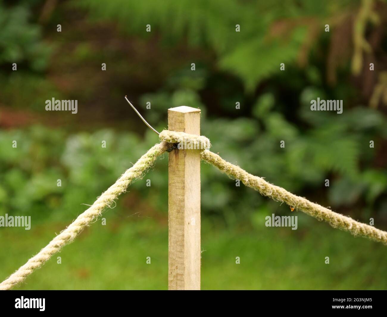 Thick fence hi-res stock photography and images - Alamy