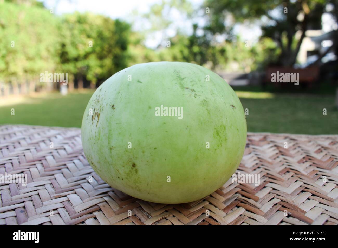 Spherical squash hi-res stock photography and images - Alamy
