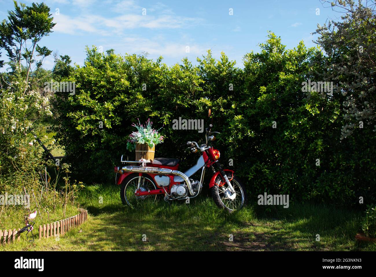 Exterior decoration and classic vintage retro red motorcycle furniture ...