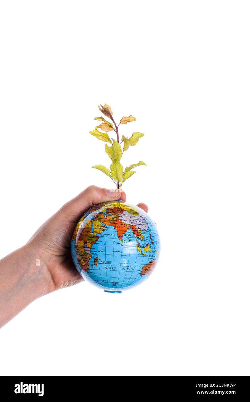 Hand holding tree planting Cut Out Stock Images & Pictures - Alamy