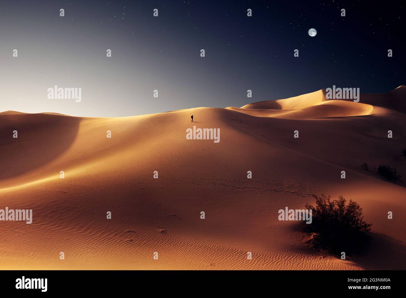 Walker arabian hi-res stock photography and images - Alamy