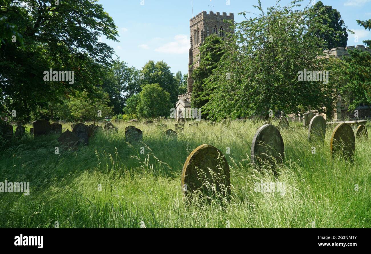 Eaton Socon Church and churchyard with grass left uncut in graveyard to ...