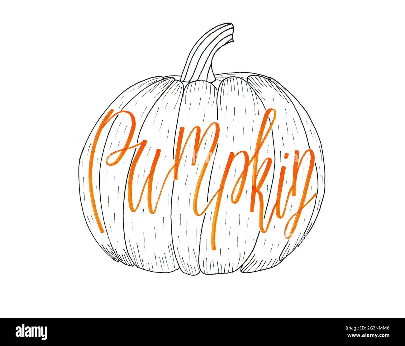 Pumpkin lettering in modern calligraphy style with brush pen Stock ...