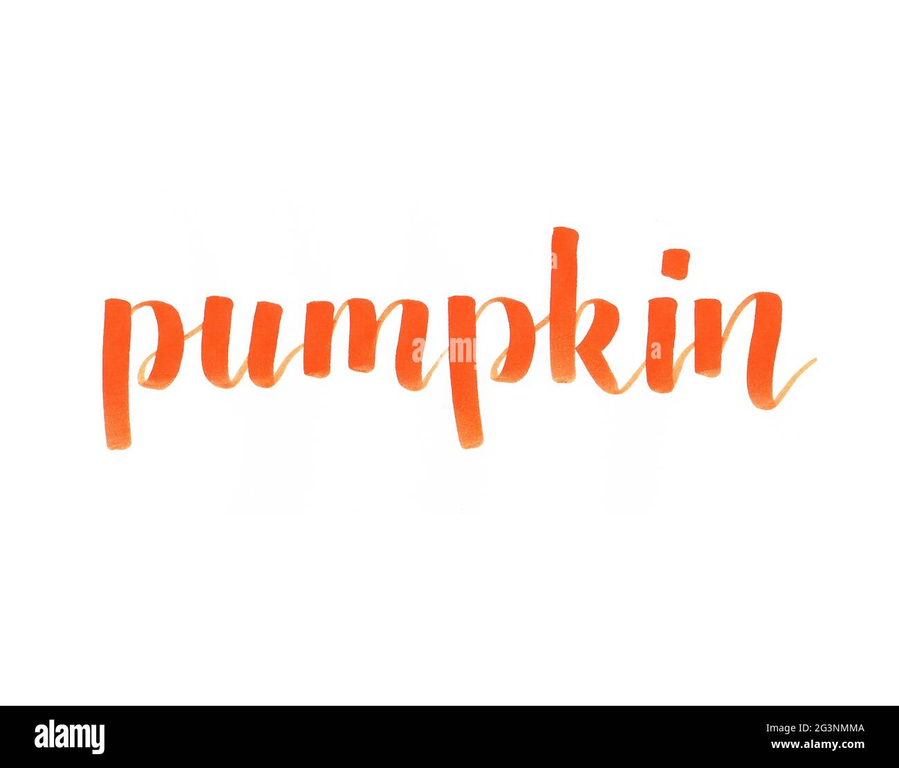 Pumpkin lettering in modern calligraphy style with brush pen Stock ...