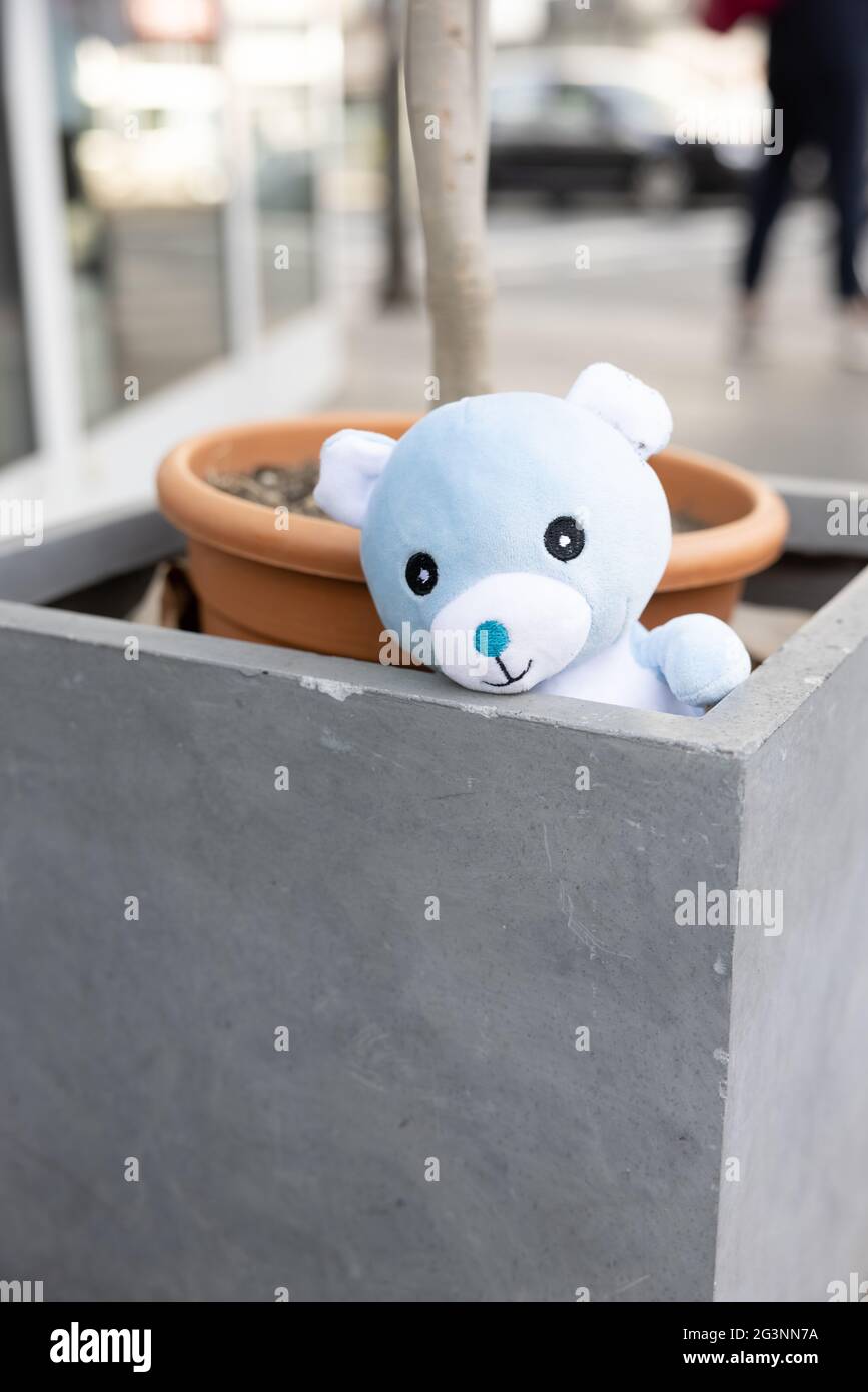 Blue bear toy in a stone pot Stock Photo - Alamy