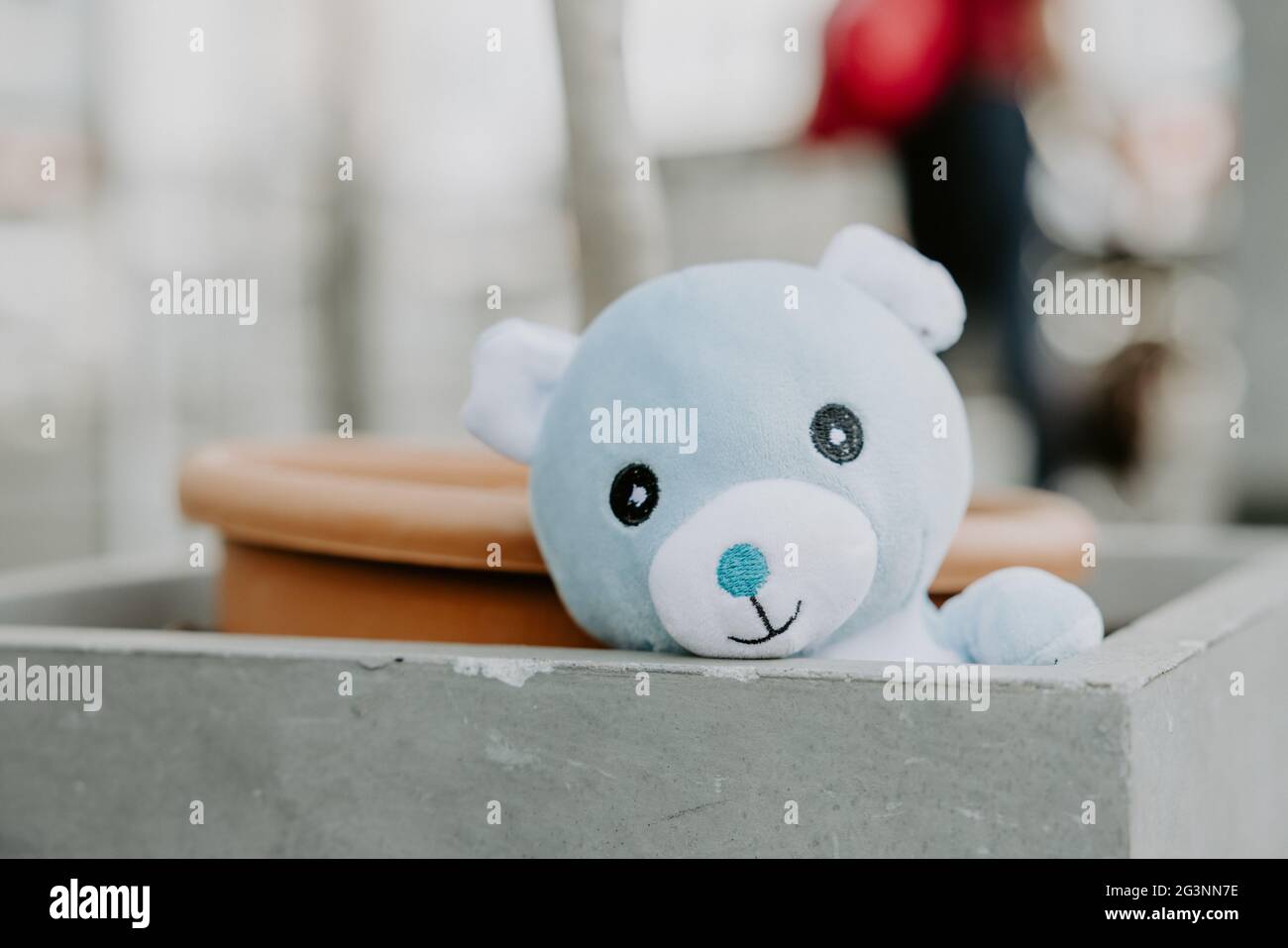 Blue bear toy in a stone pot Stock Photo - Alamy