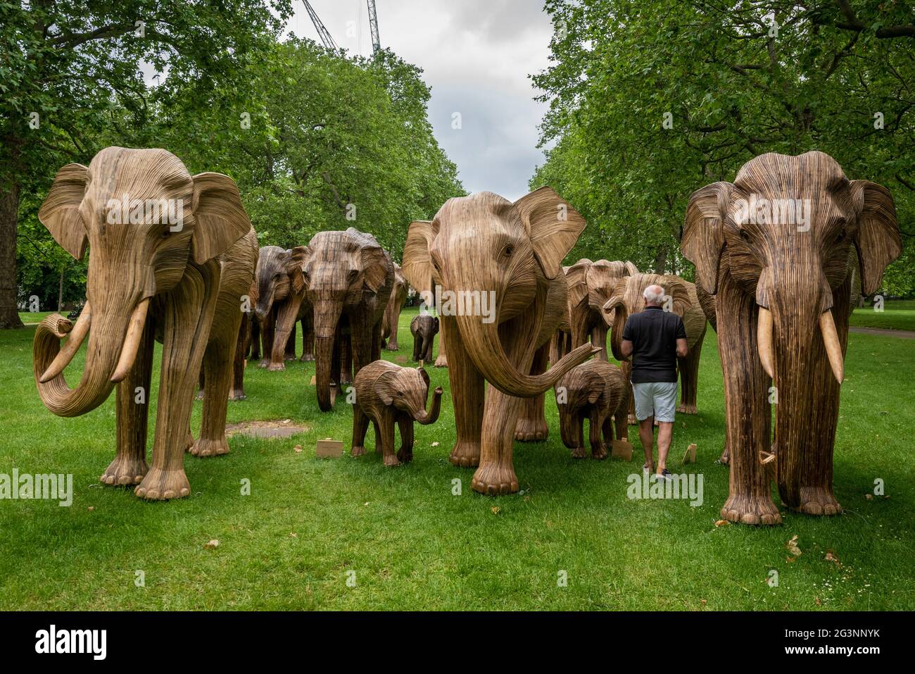 Elephant Park London High Resolution Stock Photography and Images - Alamy