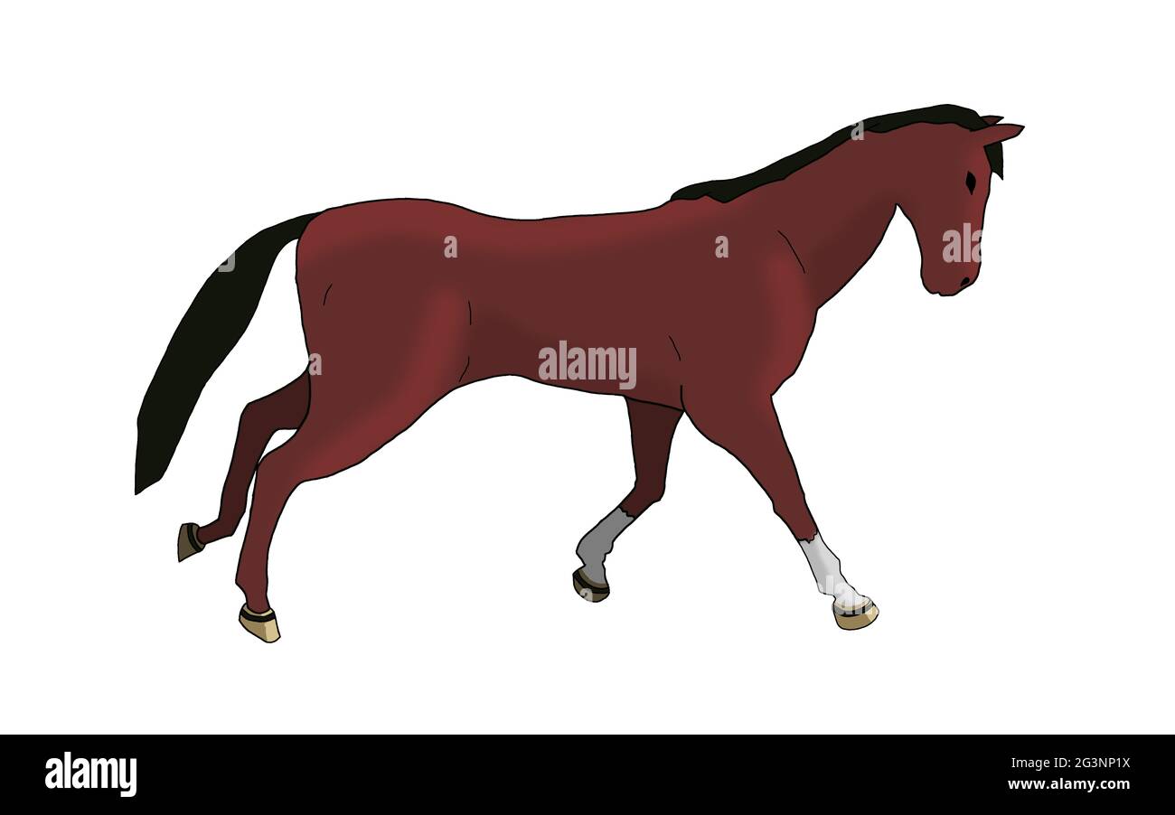 galloping red horse Stock Photo - Alamy