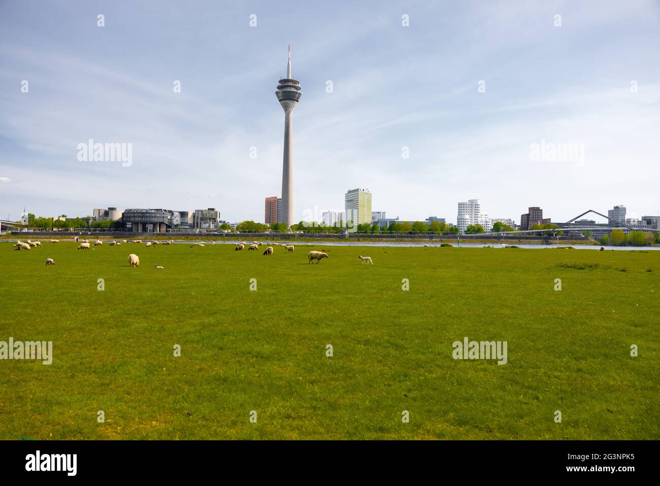 Rhine Tower in Dusseldorf, Germany Stock Photo - Alamy