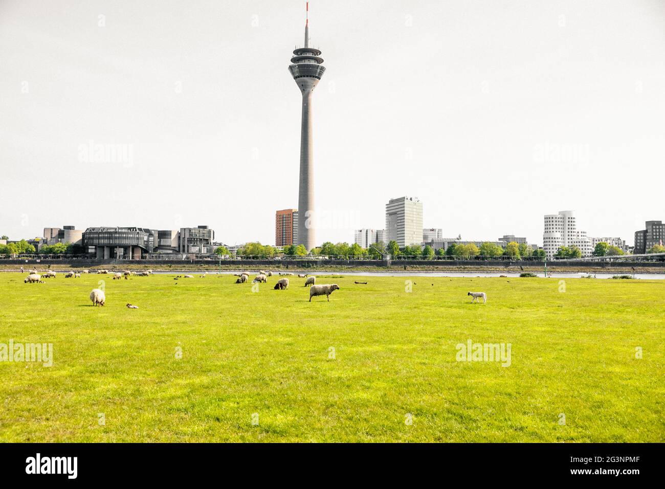 Rhine Tower in Dusseldorf, Germany Stock Photo - Alamy