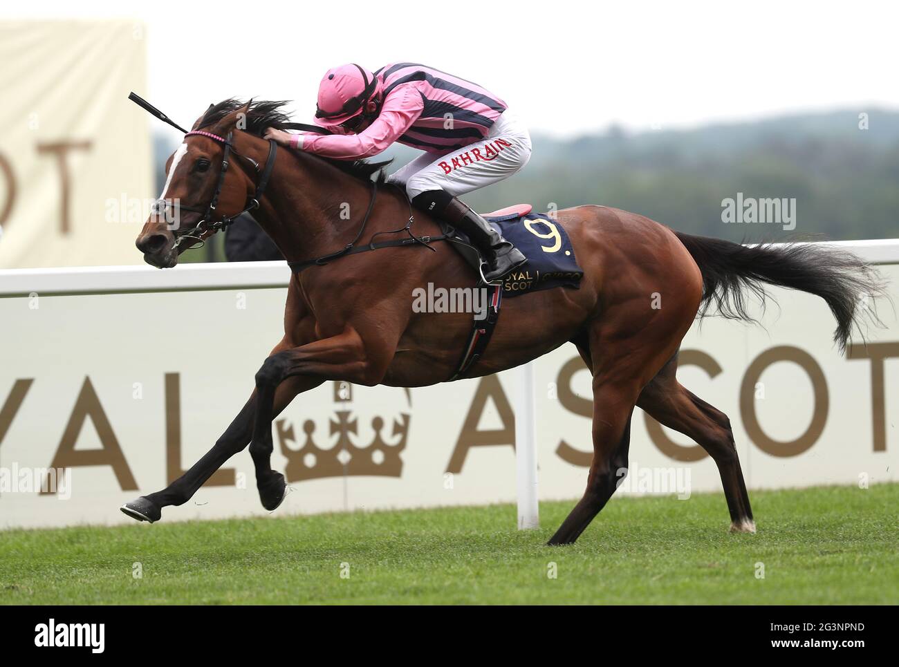 Loving Dream ridden by jockey Robert Havlin wins the Ribblesdale Stakes ...