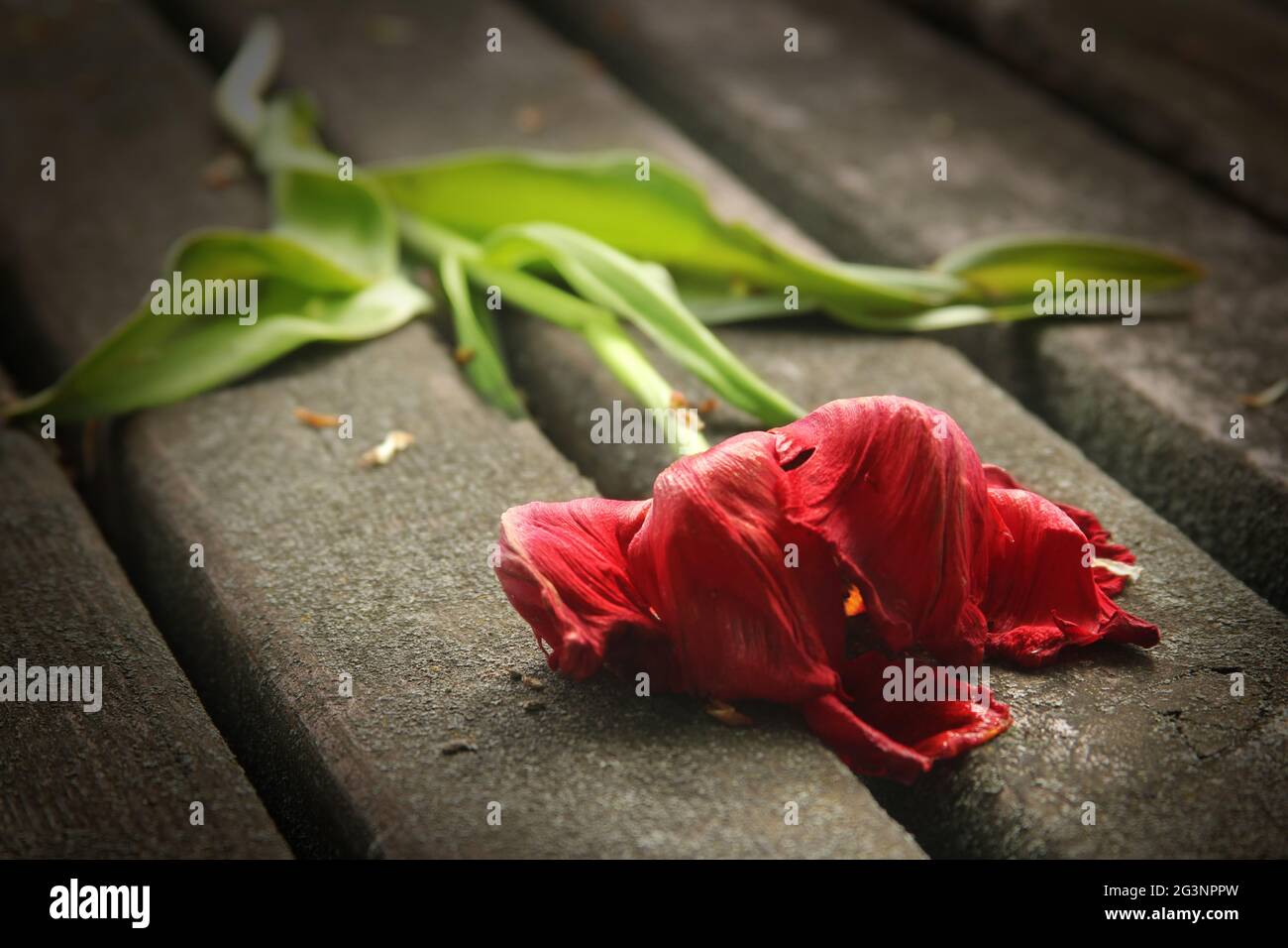 Faded red color hi-res stock photography and images - Alamy