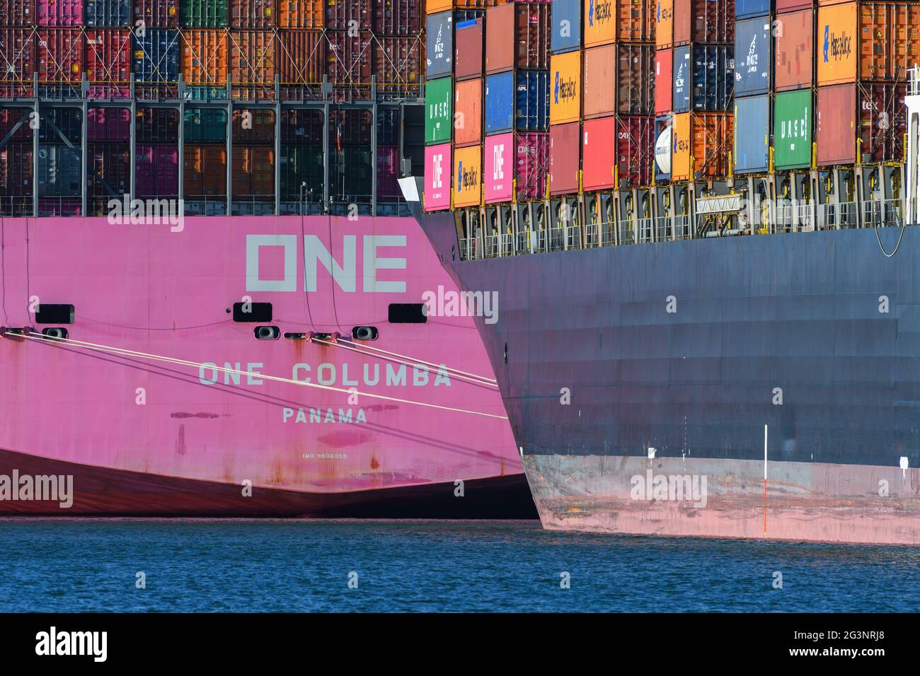 The container ships One Columba and NYK Rumina at the Port of ...