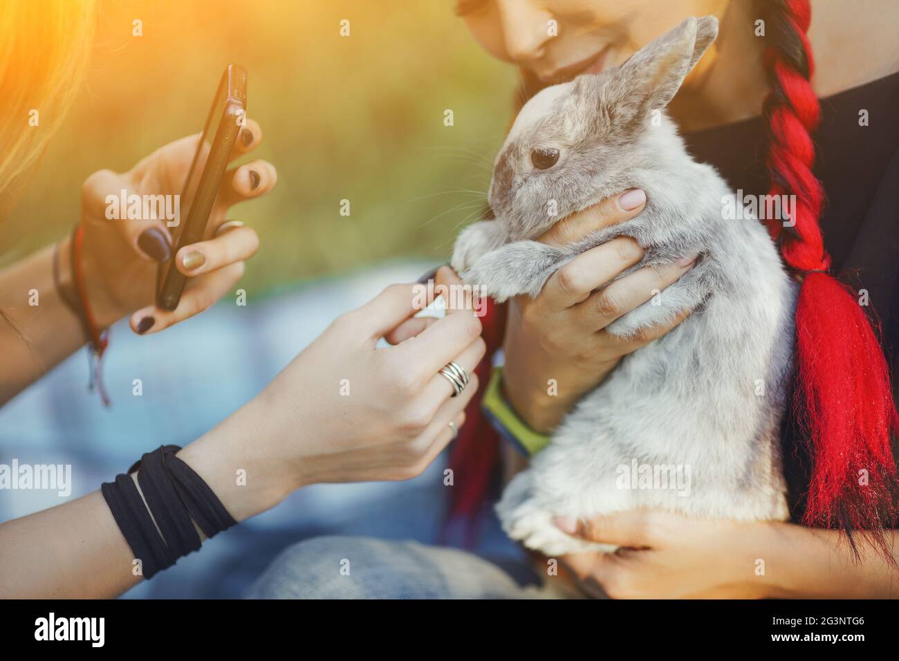 Two Girls with Rabbit on Nature Taking a Photo of Rabbit Stock Photo ...