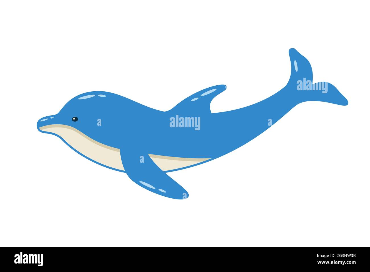 Cute Animated Dolphins