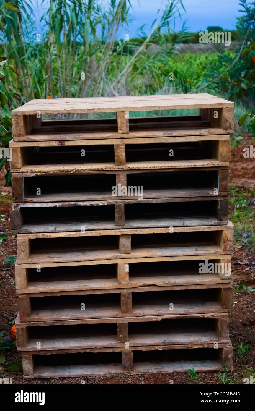 Image of a stack of pine wood pallets that are in a farm field ready to ...