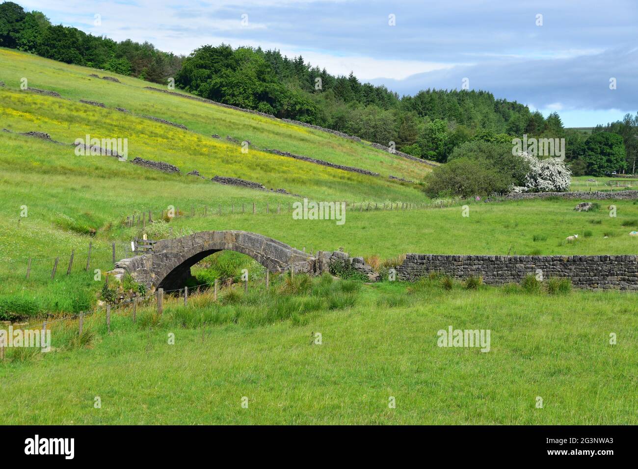 Strines Bridge, Jack Bridge, Colden Water, Pennines, West Yorkshire ...