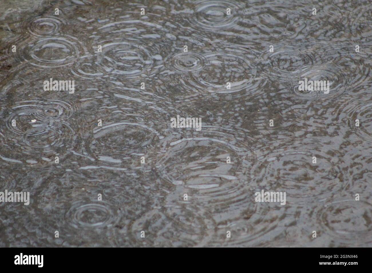 Rainfall capture hi-res stock photography and images - Alamy