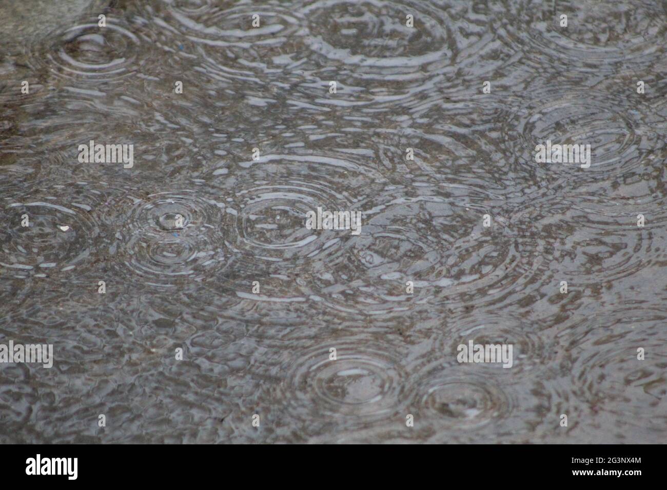 the rain drops are captured by closeup Stock Photo - Alamy