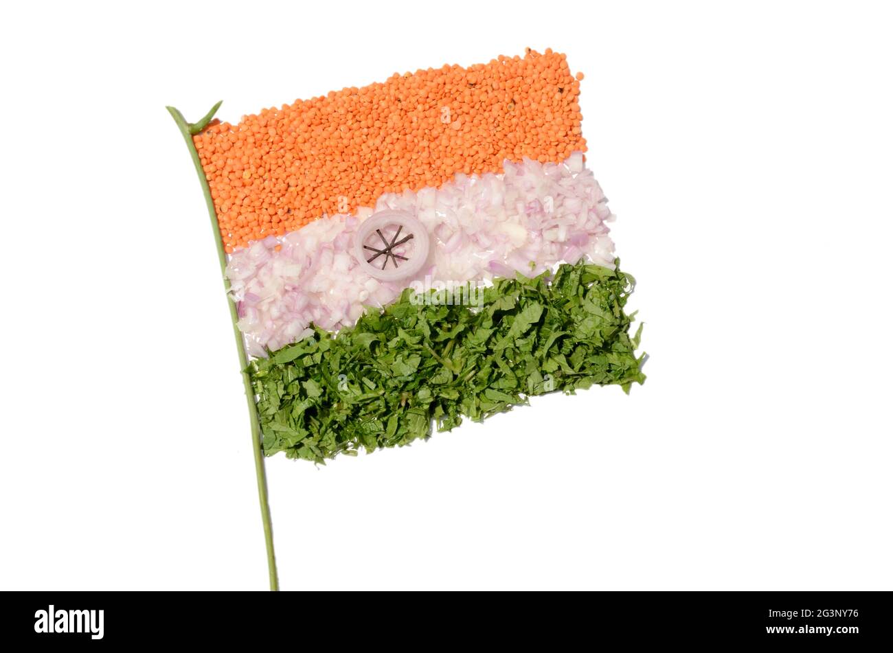 closeup red lentils, white onion,and spinach vegetable indian flag ...
