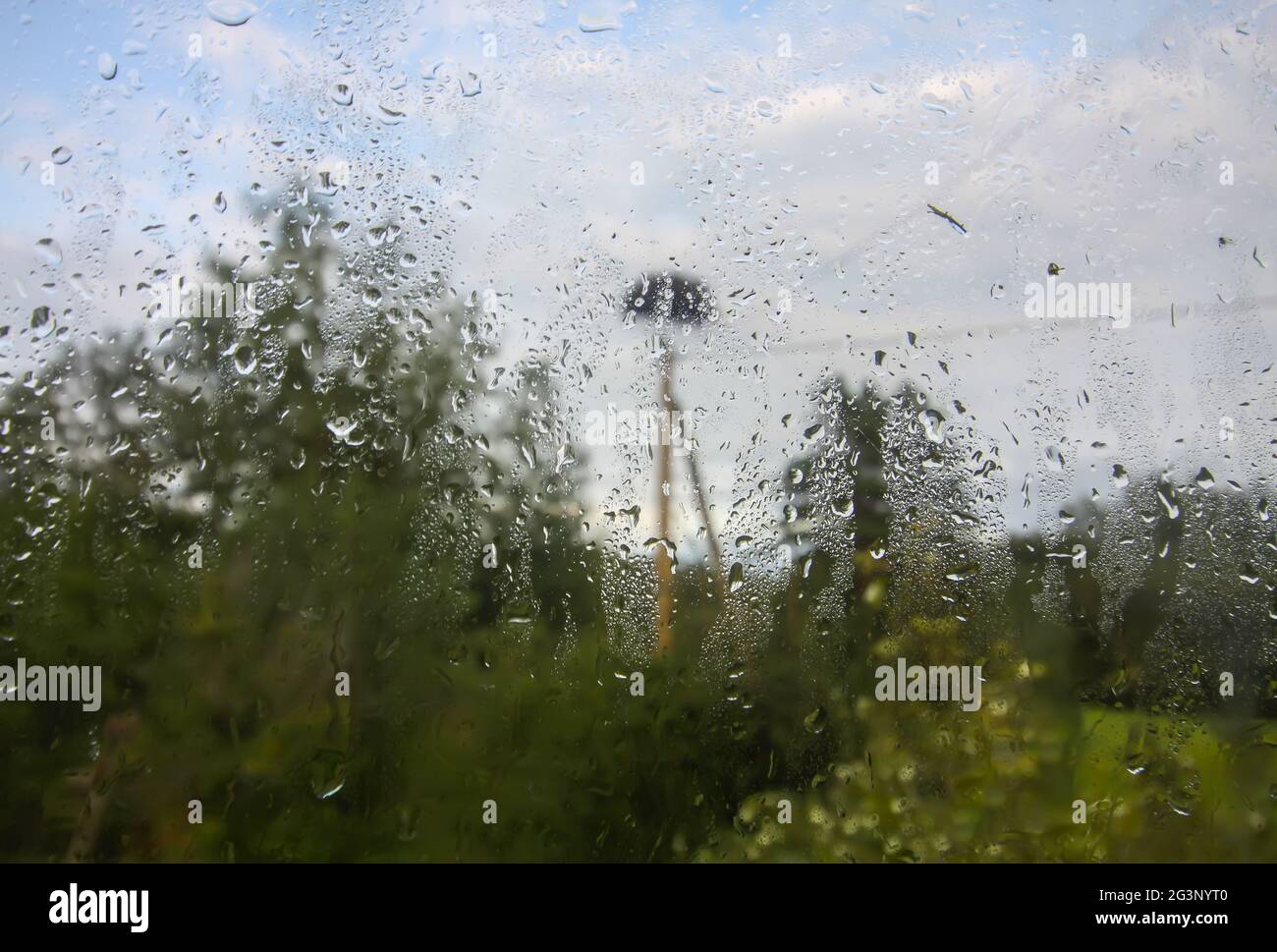 Stork nest and green trees behind the wet glass in autumn rain drops ...