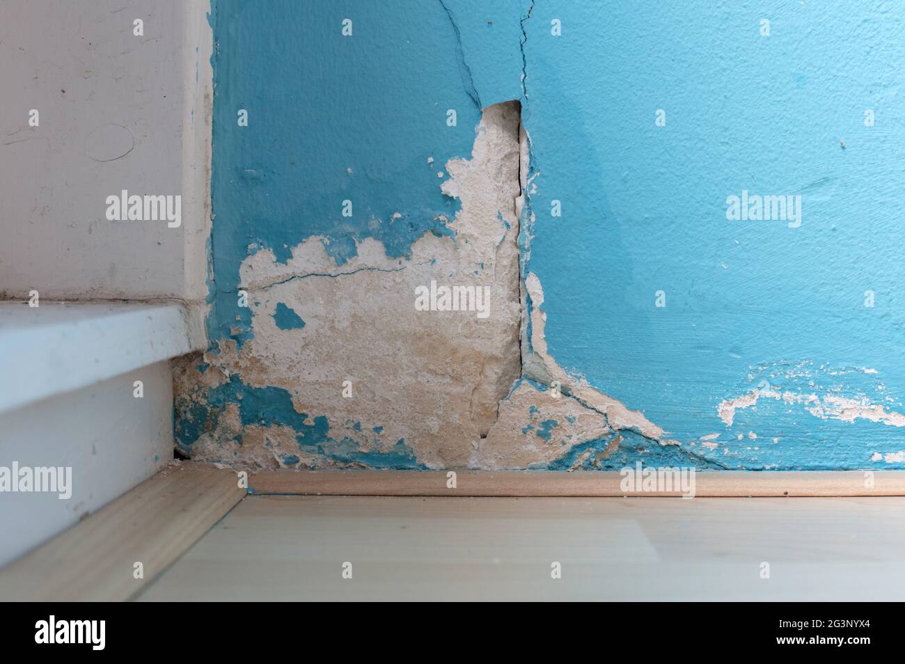 Old peeled wall with mold Stock Photo - Alamy